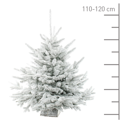 Sapin floqué blanc 110-120cm – SAPINETDECORATION